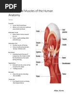 Female Muscle Diagram | PDF | Musculoskeletal System | Soft Tissue