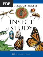 Insect Research Report Template | PDF