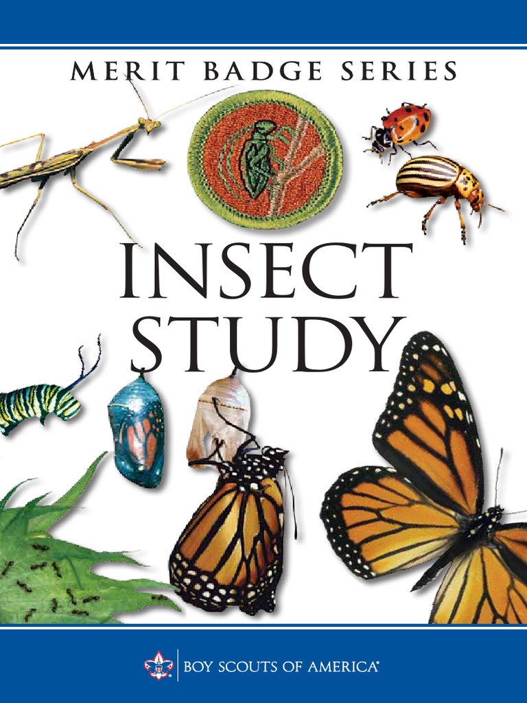 Insect Study - Merit Badge Series PDF | PDF | Insects | Eye