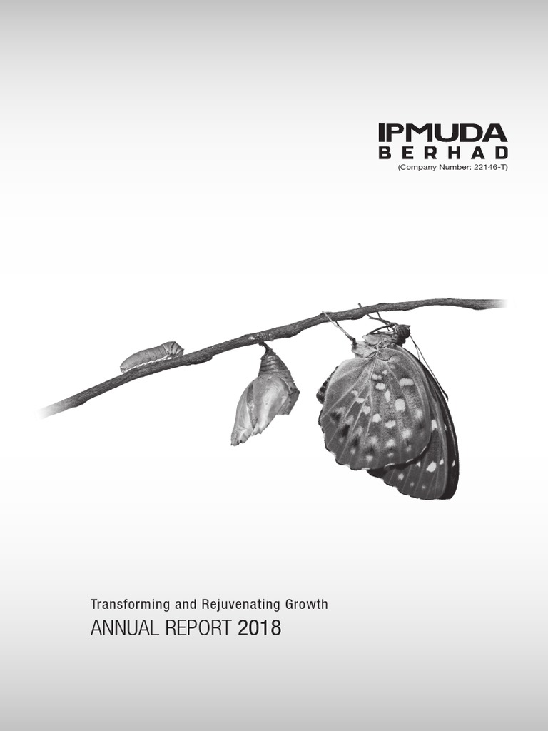 Ipmuda - AR 2018 (Part 1) | PDF | Board Of Directors | Proxy Voting