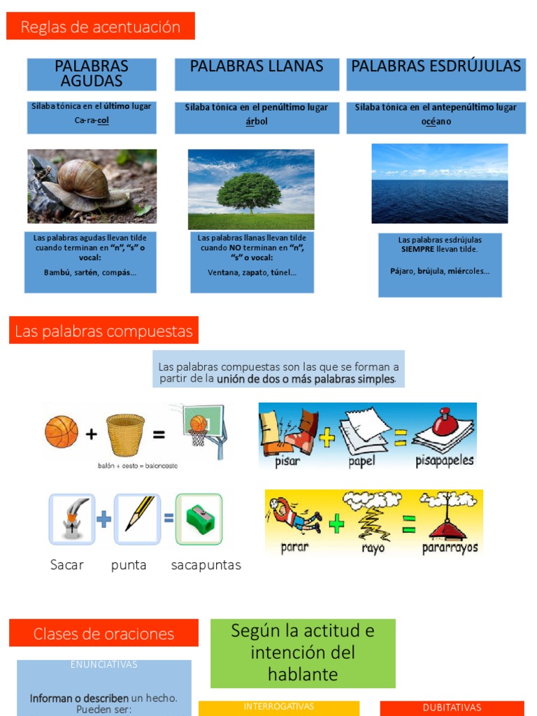 Lámina 4 Palabras Compuestas Reglas de Acentuación | PDF | Morfología ...
