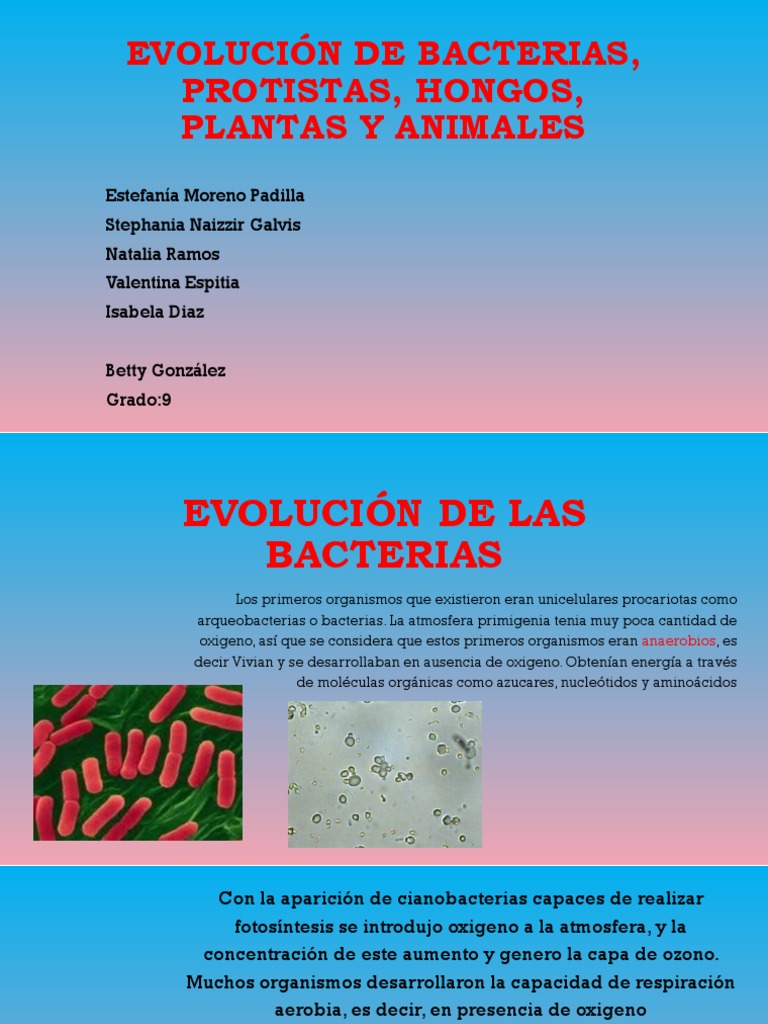 Evolución de las bacterias | Eucariotas | Plantas