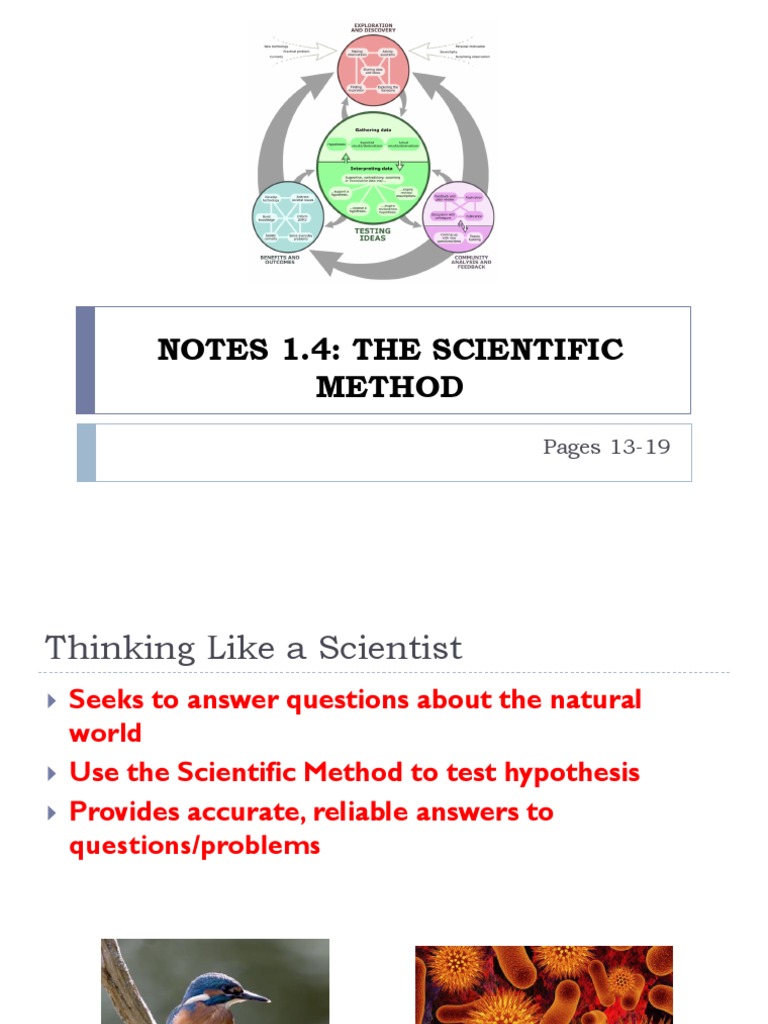 Scientific Method | PDF | Experiment | Hypothesis