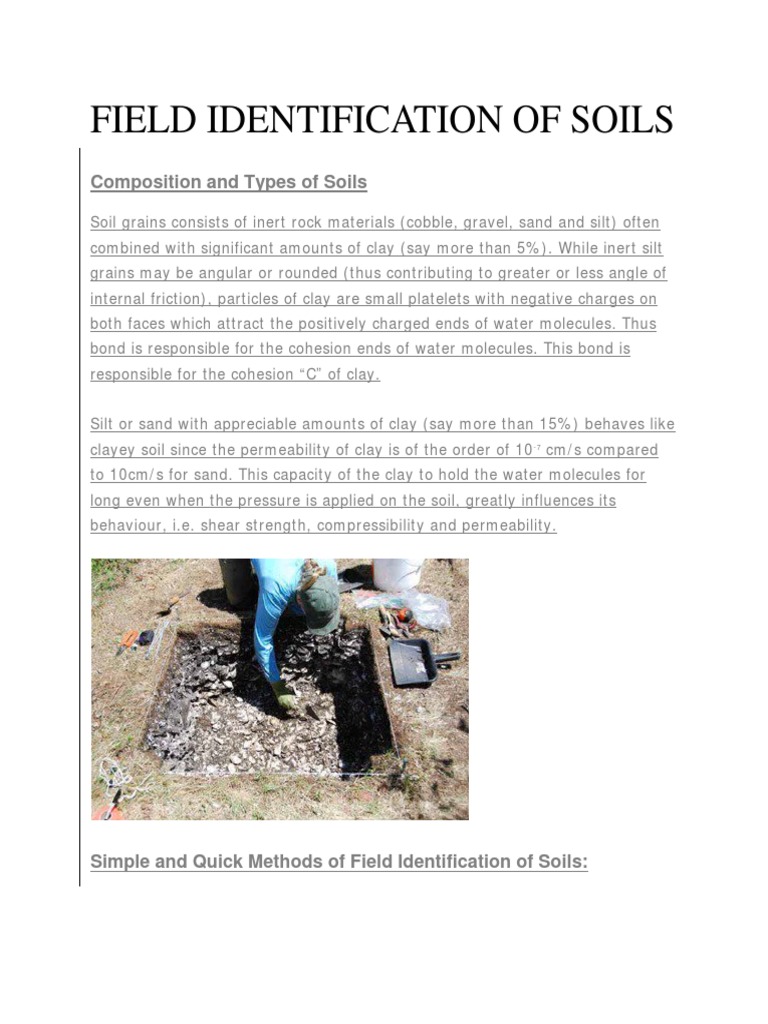 Field Identification of Soils | PDF | Sand | Silt