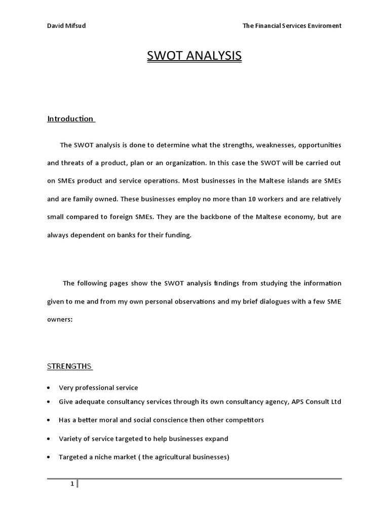 Swot Analysis David Mifsud The Financial Services Enviroment Pdf Small And Medium Sized 
