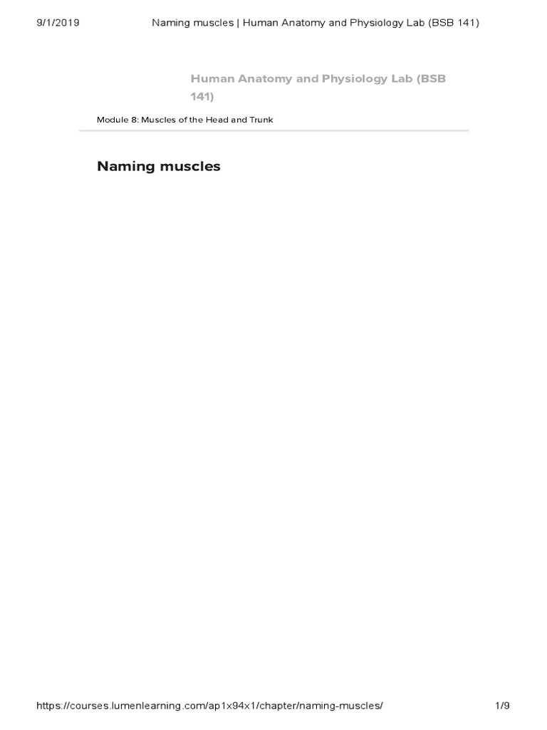Naming Muscles - Human Anatomy and Physiology Lab (BSB 141) | PDF ...