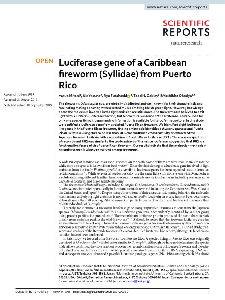 Luciferase Gene of A Caribbean Fireworm (Syllidae) From Puerto Rico ...