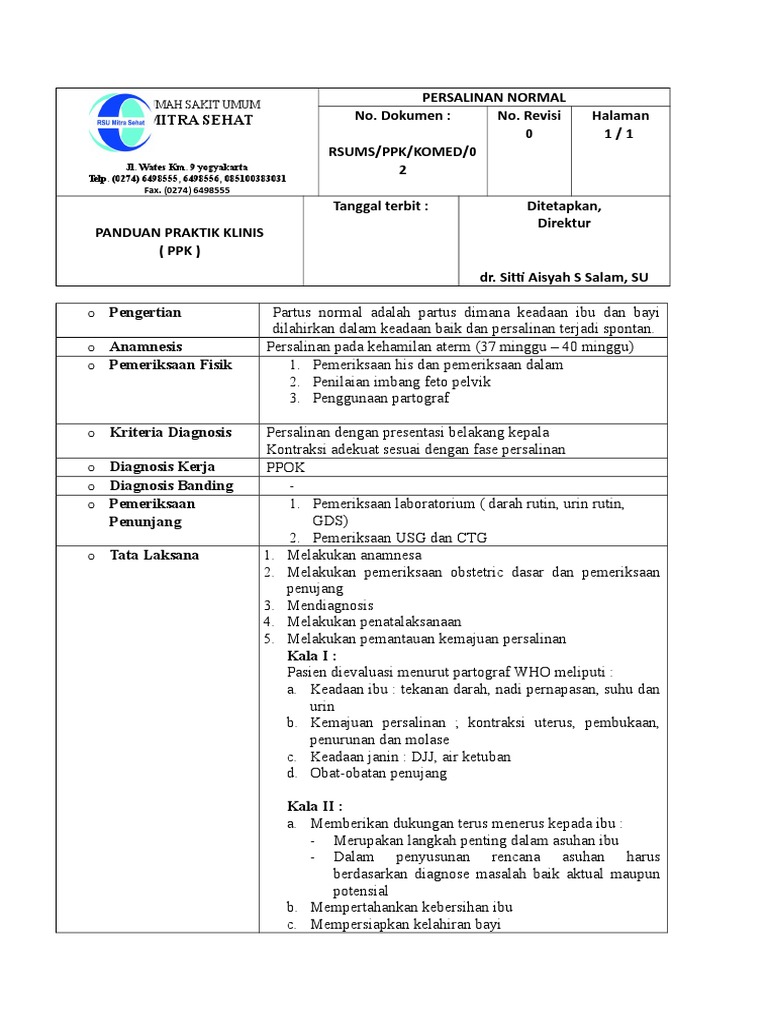 PPK Persalinan Normal | PDF