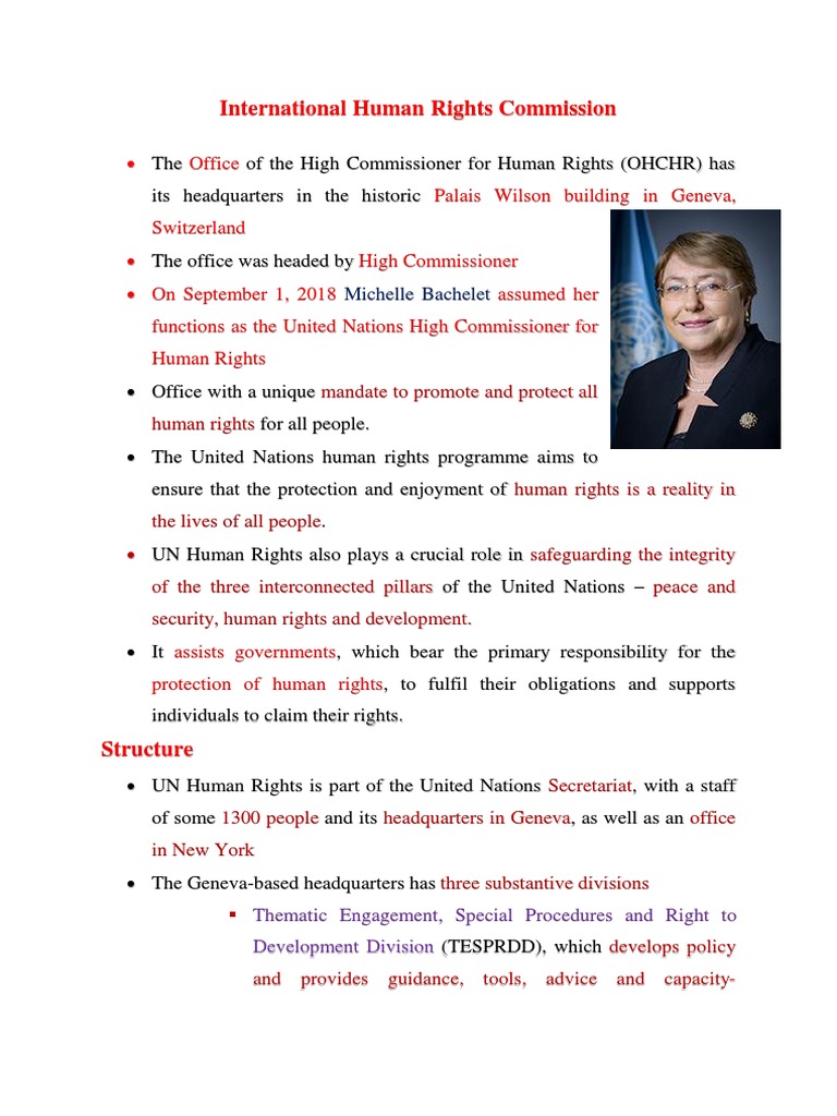 International Human Rights Commission | PDF | United Nations General ...