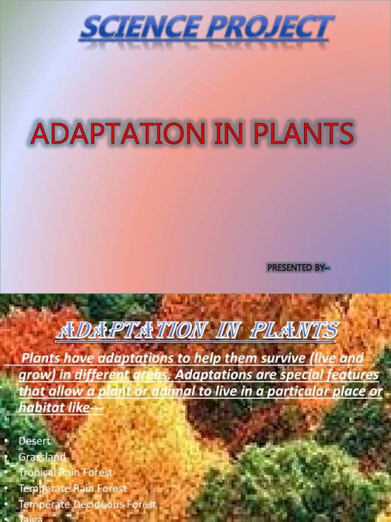 Adaptation in Plants | PDF | Trees | Plants