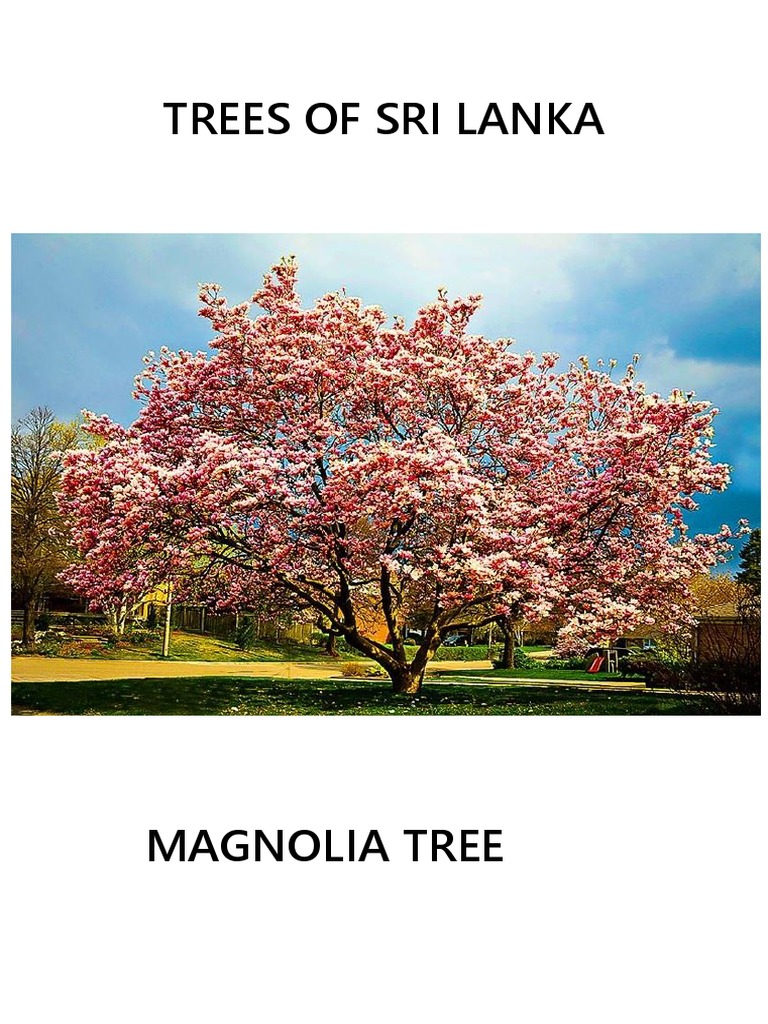 Trees of Sri Lanka: A Comprehensive Guide | PDF