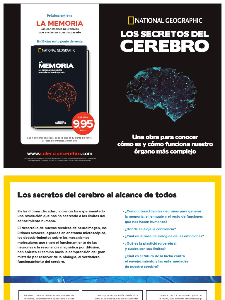 Colección Ng Los Secretos Del Cerebro Pdf Neurociencia Cerebro