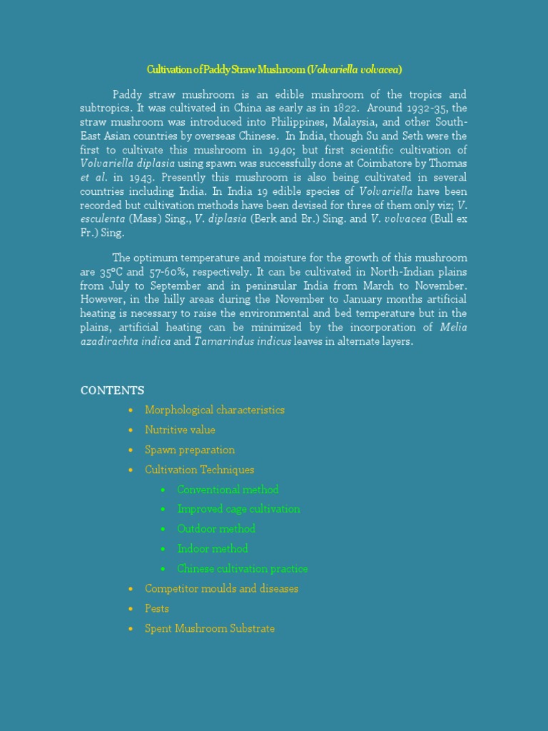 Paddy Straw Mushroom | PDF | Compost | Nature