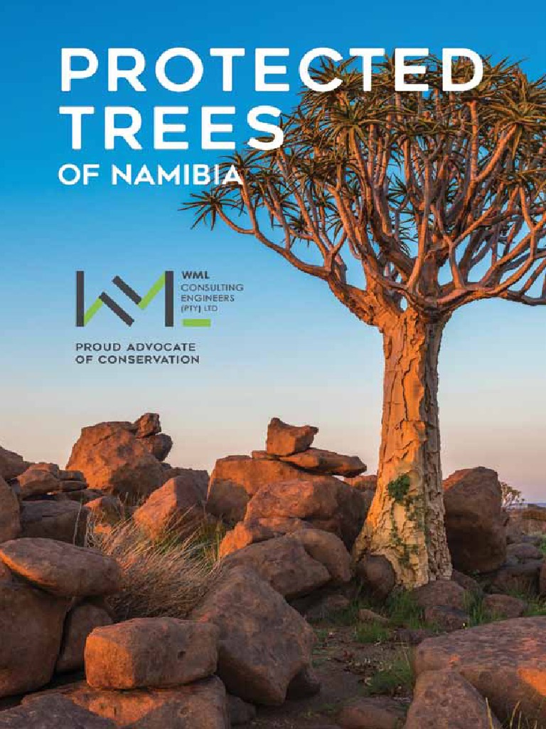 Protected Trees of Namibia | PDF | Trees | Leaf