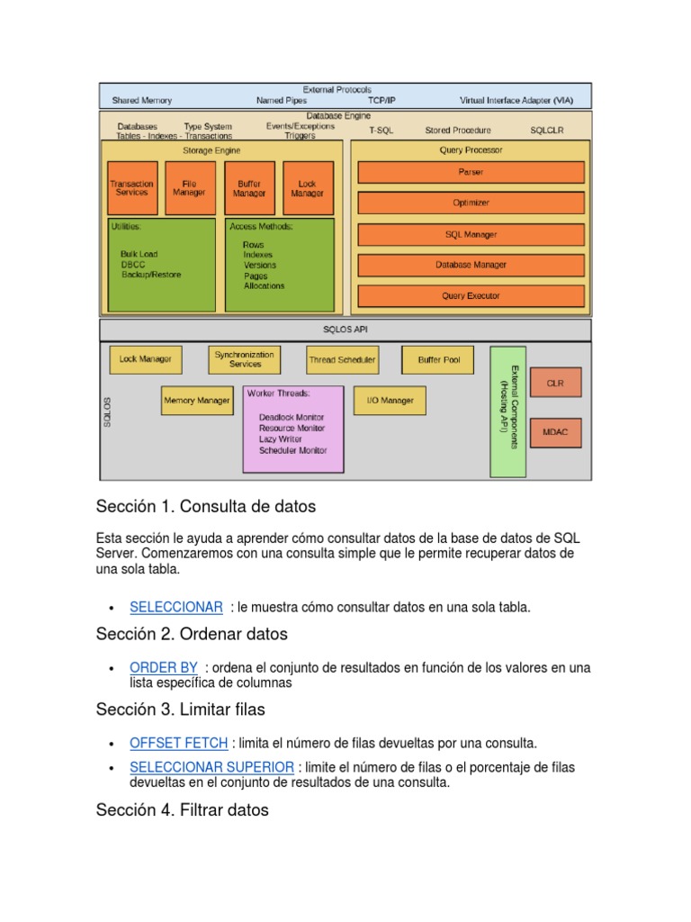 SQL Server | PDF | Tabla (base de datos) | Tipo de datos