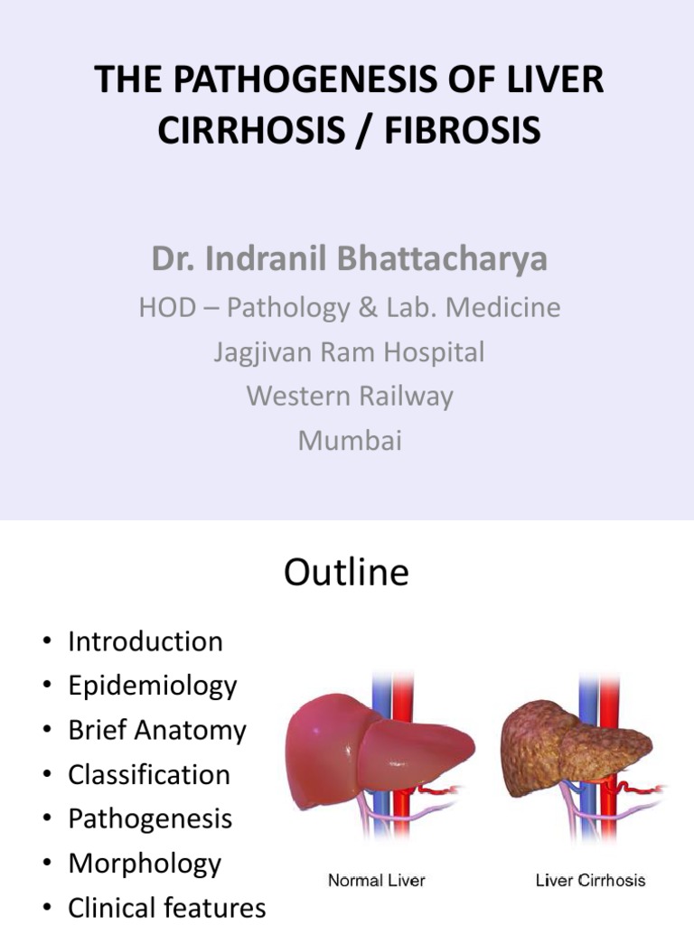 The Pathogenesis of Liver Cirrhosis / Fibrosis: Dr. Indranil ...
