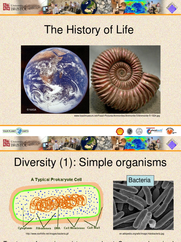 Life | PDF | Life | Cell (Biology)