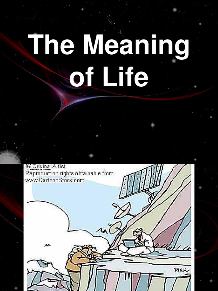 PHIL105 - 2008 The Meaning of Life Dan Turton | PDF | Meaning Of Life ...
