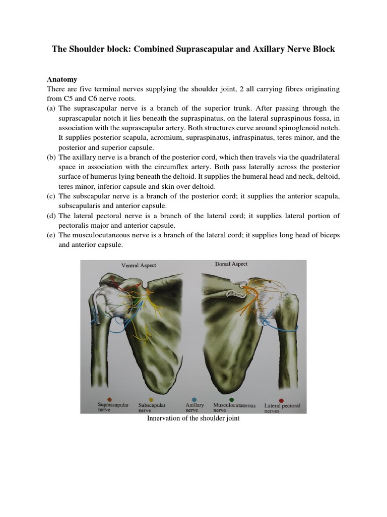 The Shoulder Block: Combined Suprascapular and Axillary Nerve Block ...