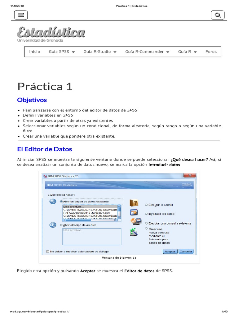 Práctica 1 - Estadística | PDF | Spss | Java (lenguaje de programación)