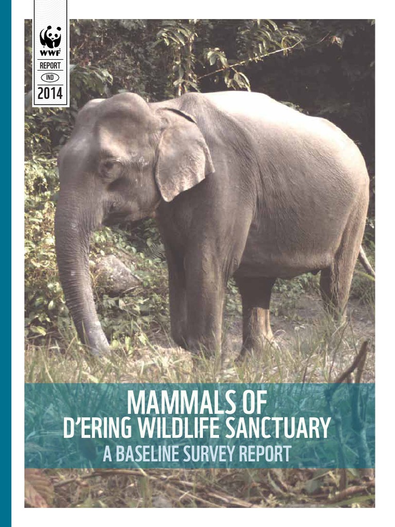 Mammals of D'Ering WLS | PDF | Tiger | Leopard