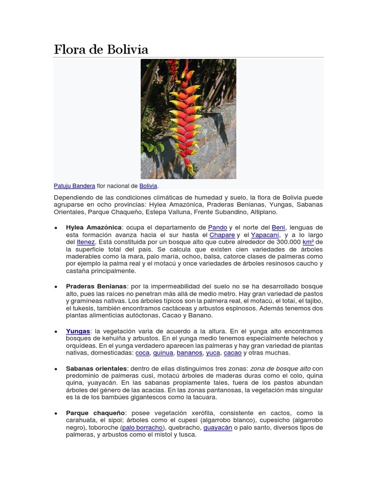 Flora de Bolivia | PDF | Arboles | Bolivia