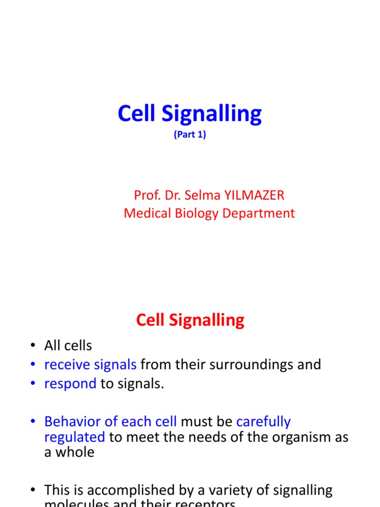 Cell Signalling: Prof. Dr. Selma YILMAZER Medical Biology Department ...