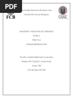 Función y características de la caja TATA | PDF | Ciencia y matemáticas