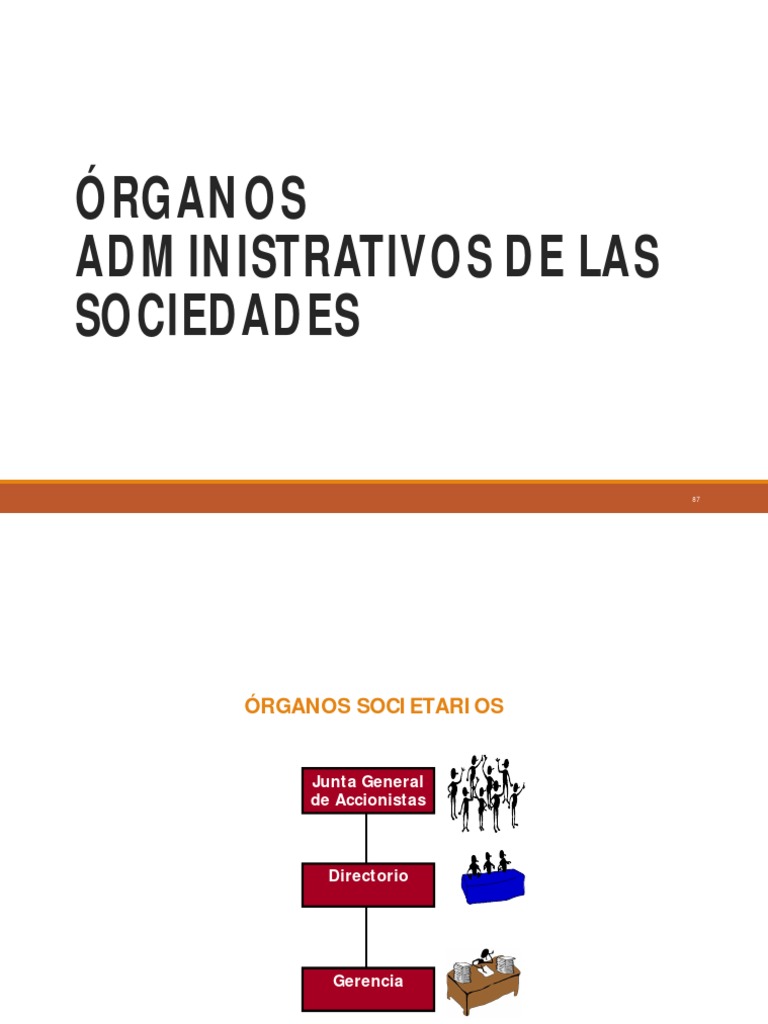 ÓRGANOS SOCIETARIOS.pdf | PDF | Quórum | Sociedad de responsabilidad limitada