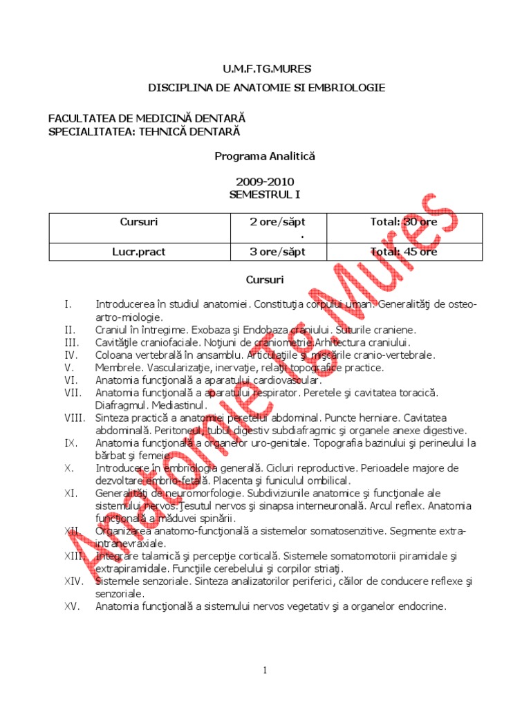 TDS1 Tematica La Anatomie | PDF