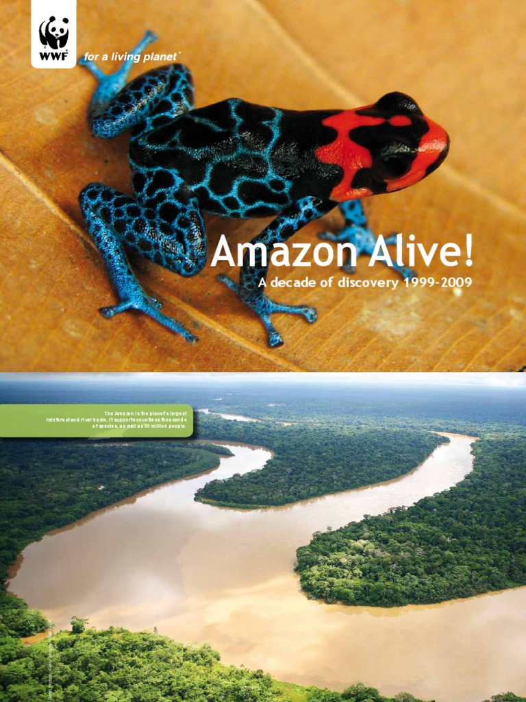 Amazon Alive | PDF | Amazon Rainforest | Biodiversity
