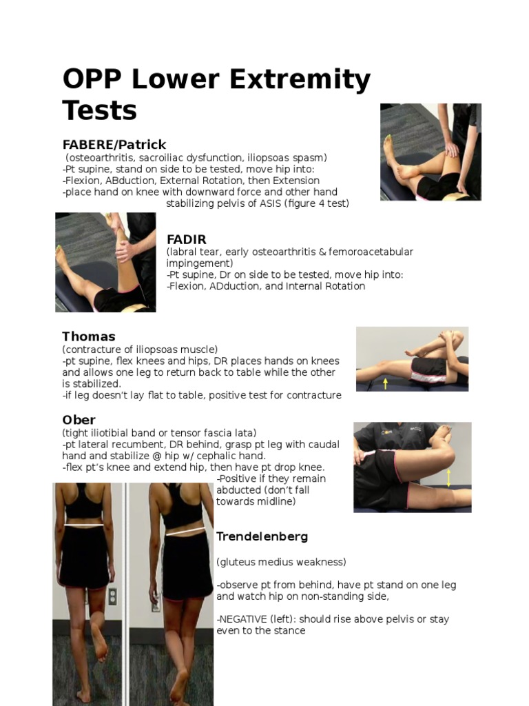OPP Lower Extremity | PDF | Knee | Anatomical Terms Of Motion