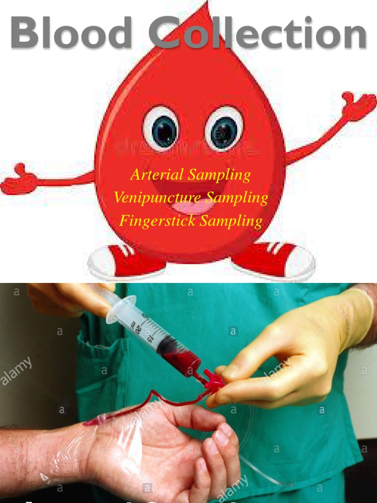 Blood Collection Project | PDF | Self-Improvement | Science & Mathematics