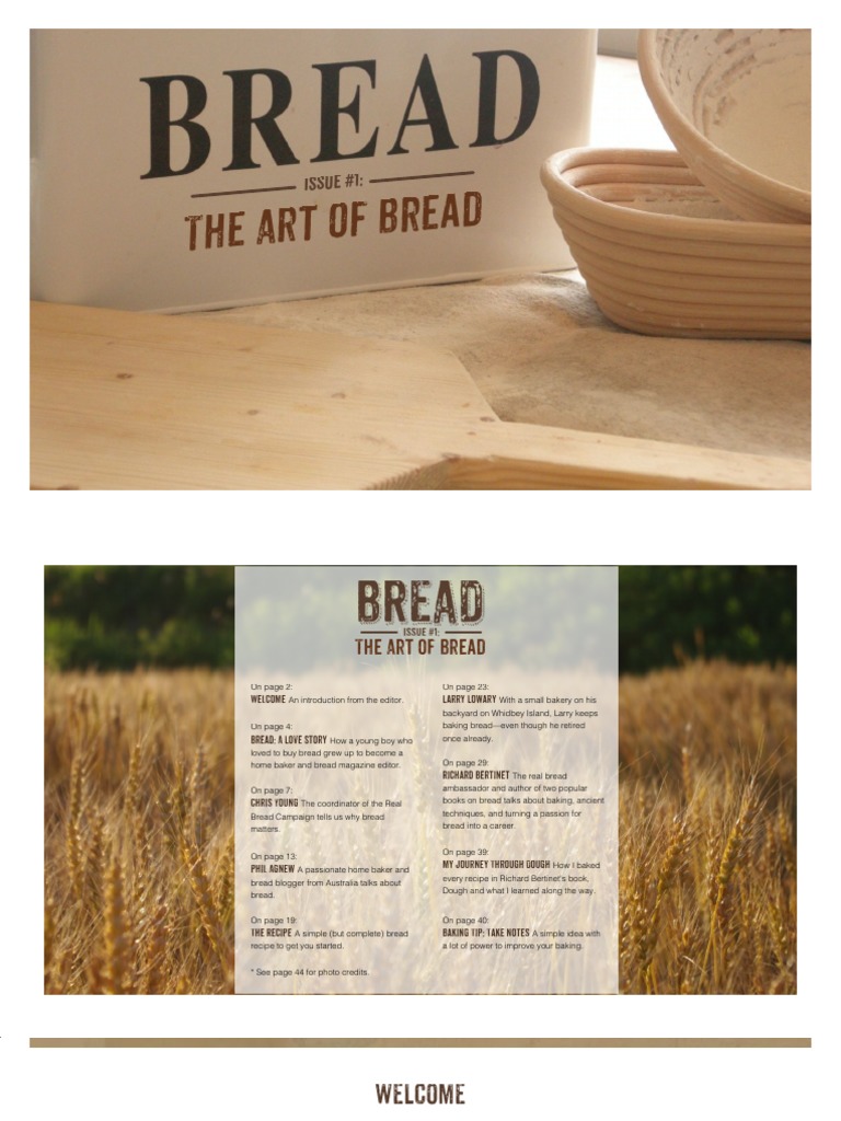 Bread Edition1 PDF | PDF | Sourdough | Breads