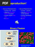 Wash - Project Proposal 2018-2019 | PDF | Wash | Waste Management