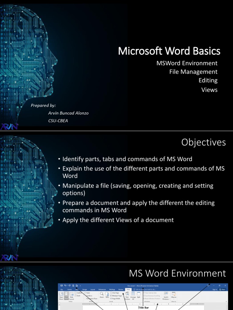 An Introduction to Microsoft Word Basics: The MSWord Environment, File ...