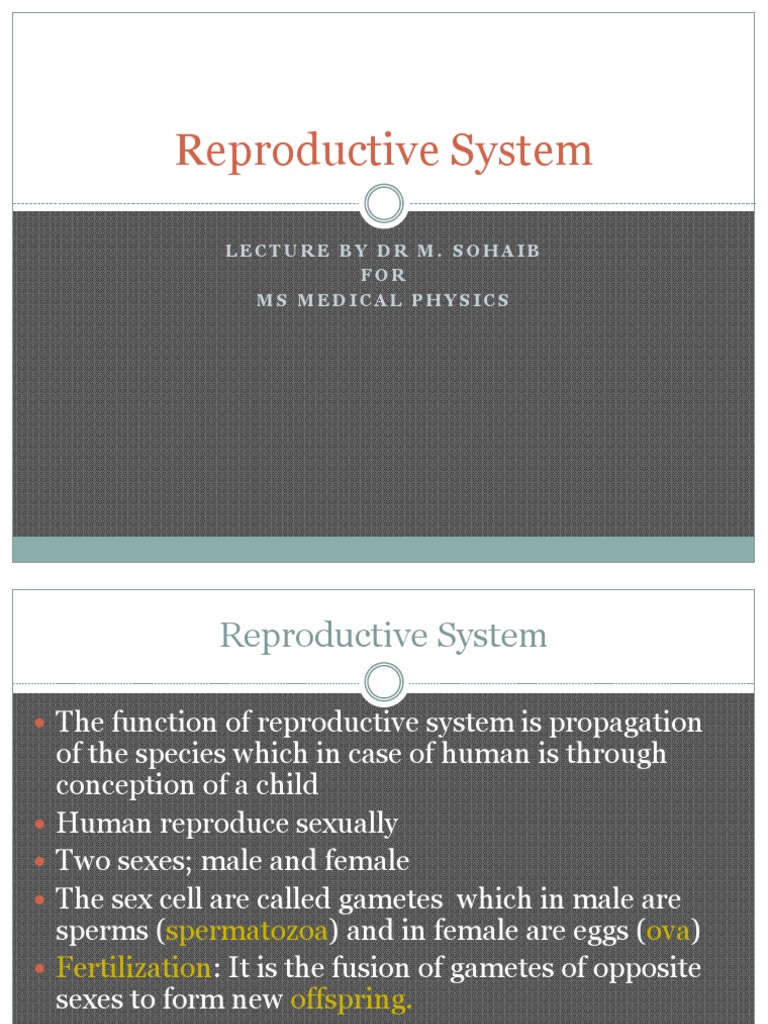 Reproductive System: Lecture by DR M. Sohaib FOR Ms Medical Physics ...