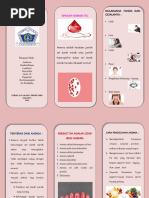 Leaflet Anemia | PDF