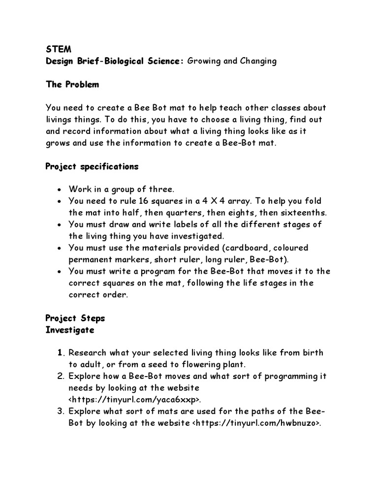 Stem Design Brief | PDF | Design | Science