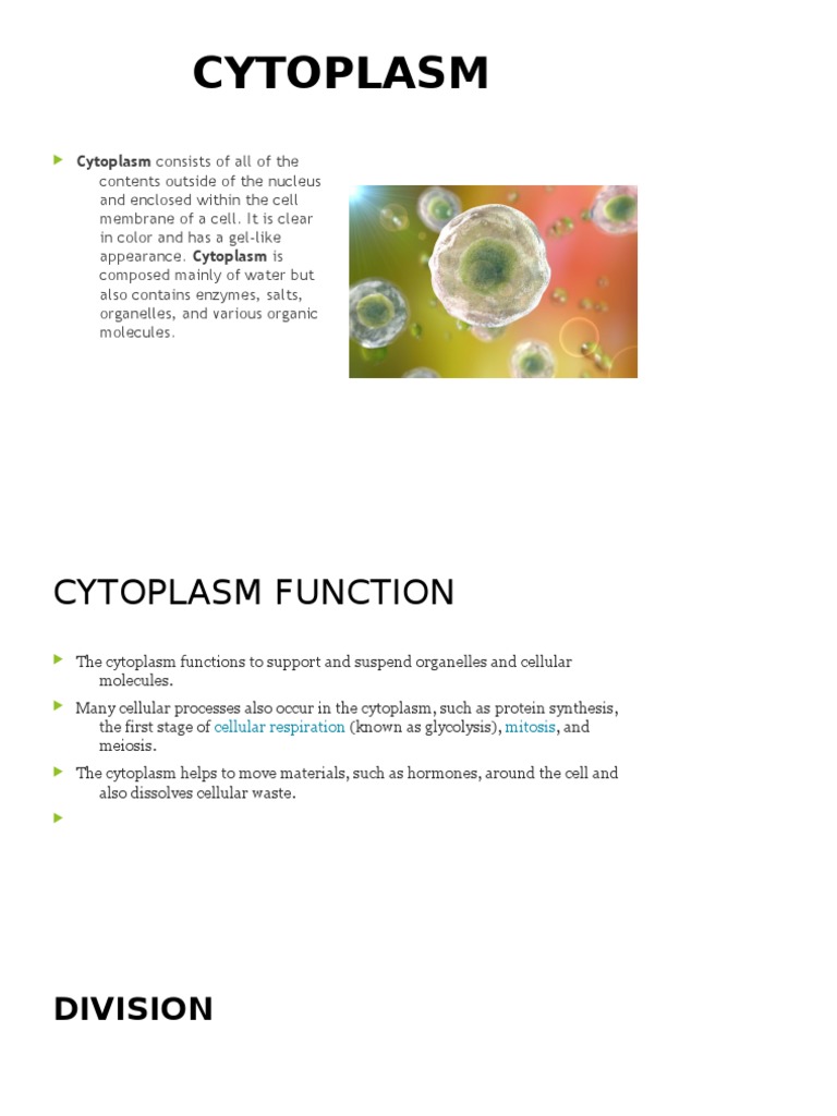The Structure and Functions of the Cytoplasm: An Overview of its Components, Processes, and Role ...
