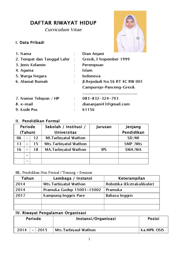 CV Dian Anjani | PDF