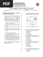 Pruebas Saber Español Grado Tercero | PDF | Palabra | Oración (Lingüística)