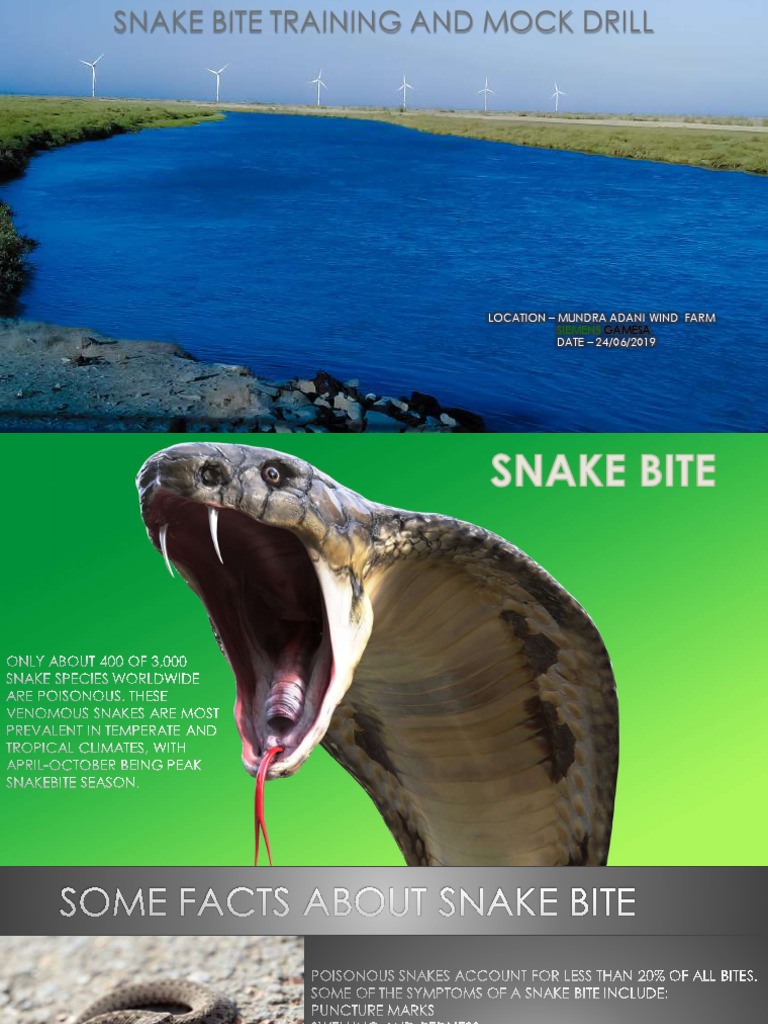 Snake Bite Training | PDF
