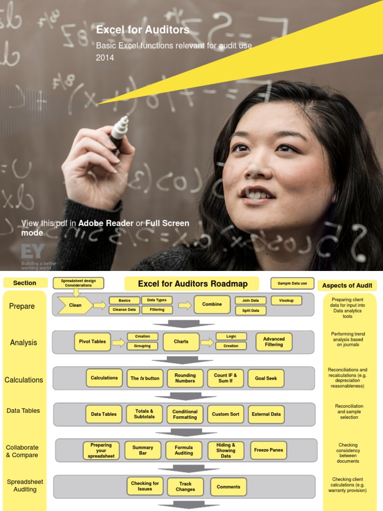 Excel For Auditors | PDF | Spreadsheet | Microsoft Excel