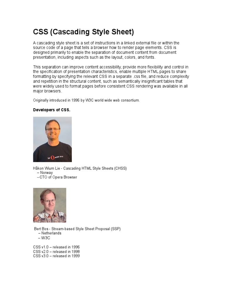 CSS (Cascading Style Sheet) | PDF | Cascading Style Sheets | Html Element