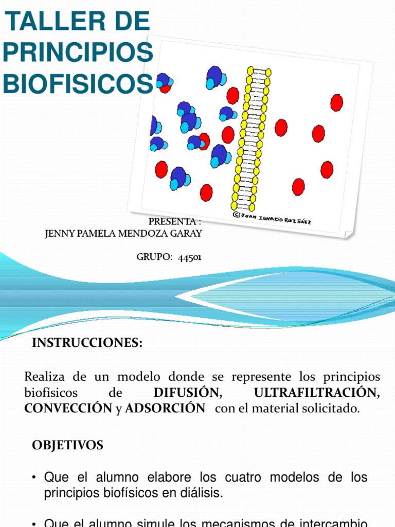 #28-Principios Biofisicos | PDF | Concentración | Ósmosis