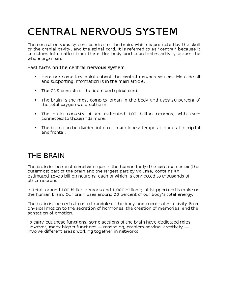 Central Nervous System: The Brain | PDF | Central Nervous System ...