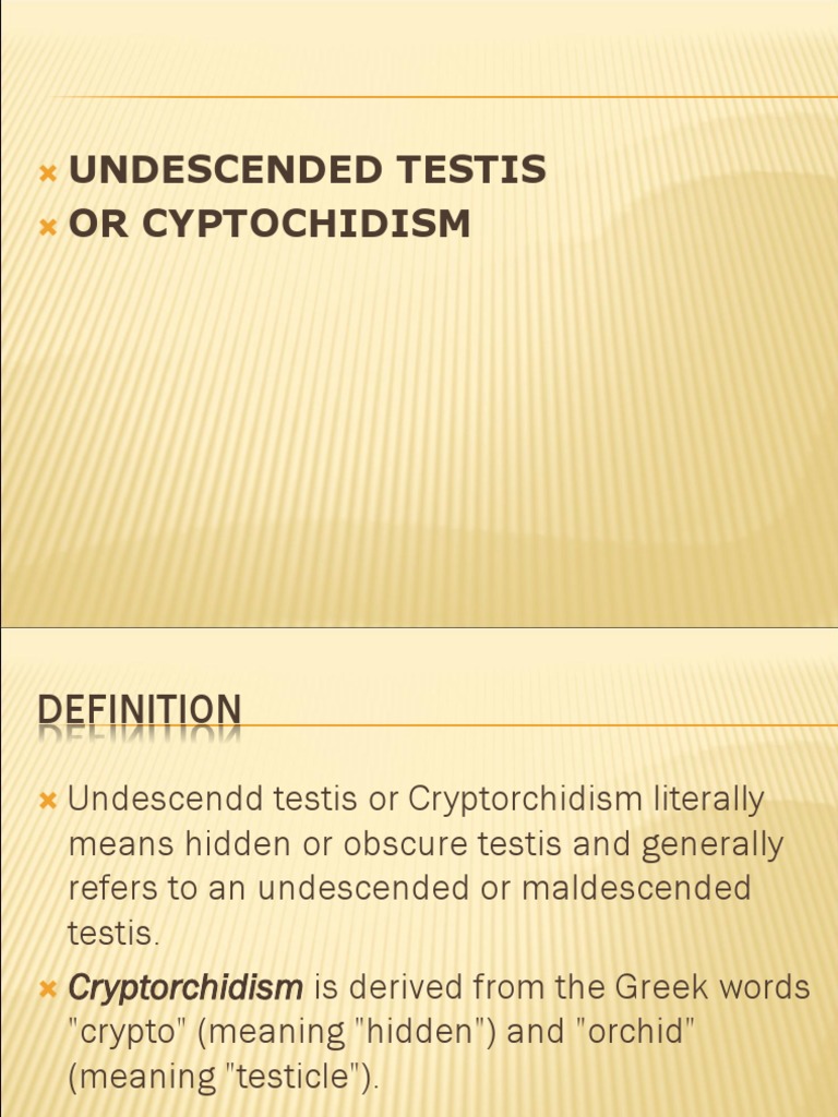 Understanding Cryptorchidism Pathology | PDF | Testicle | Women's Health