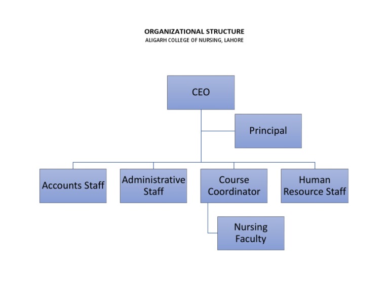 Organizational Structure: Aligarh College of Nursing, Lahore | PDF