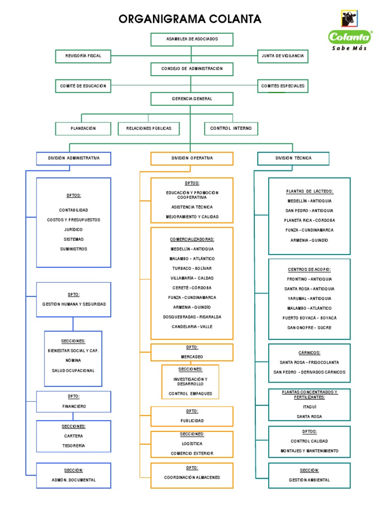 Organigrama General Colanta PDF | PDF | Business | Economias